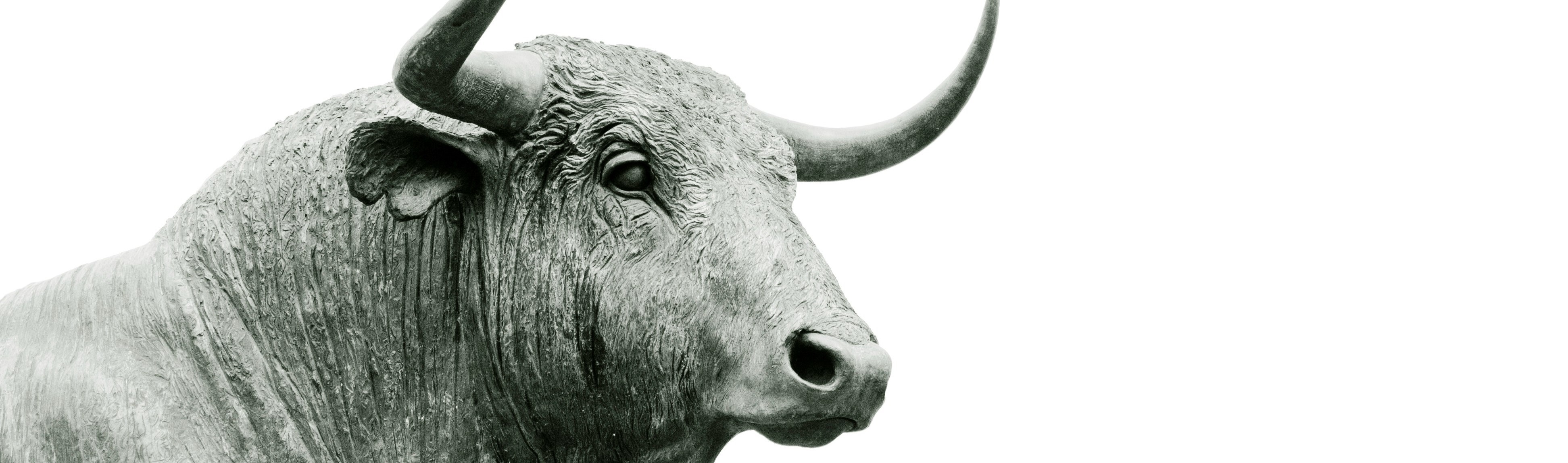 Fund Tokenization | SettleMint